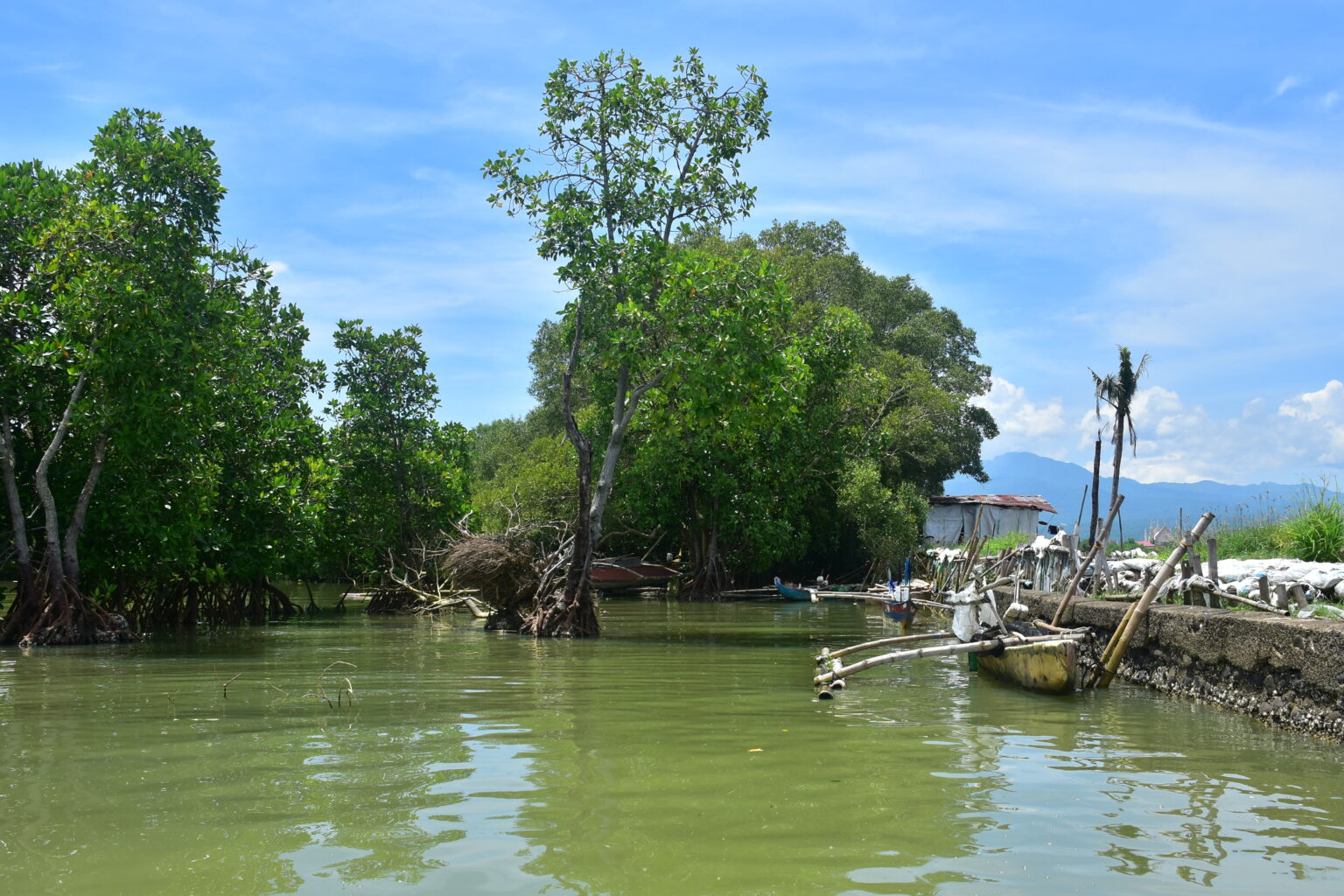 Conservation group to PH gov’t: Revert AUU fishponds to mangroves ...