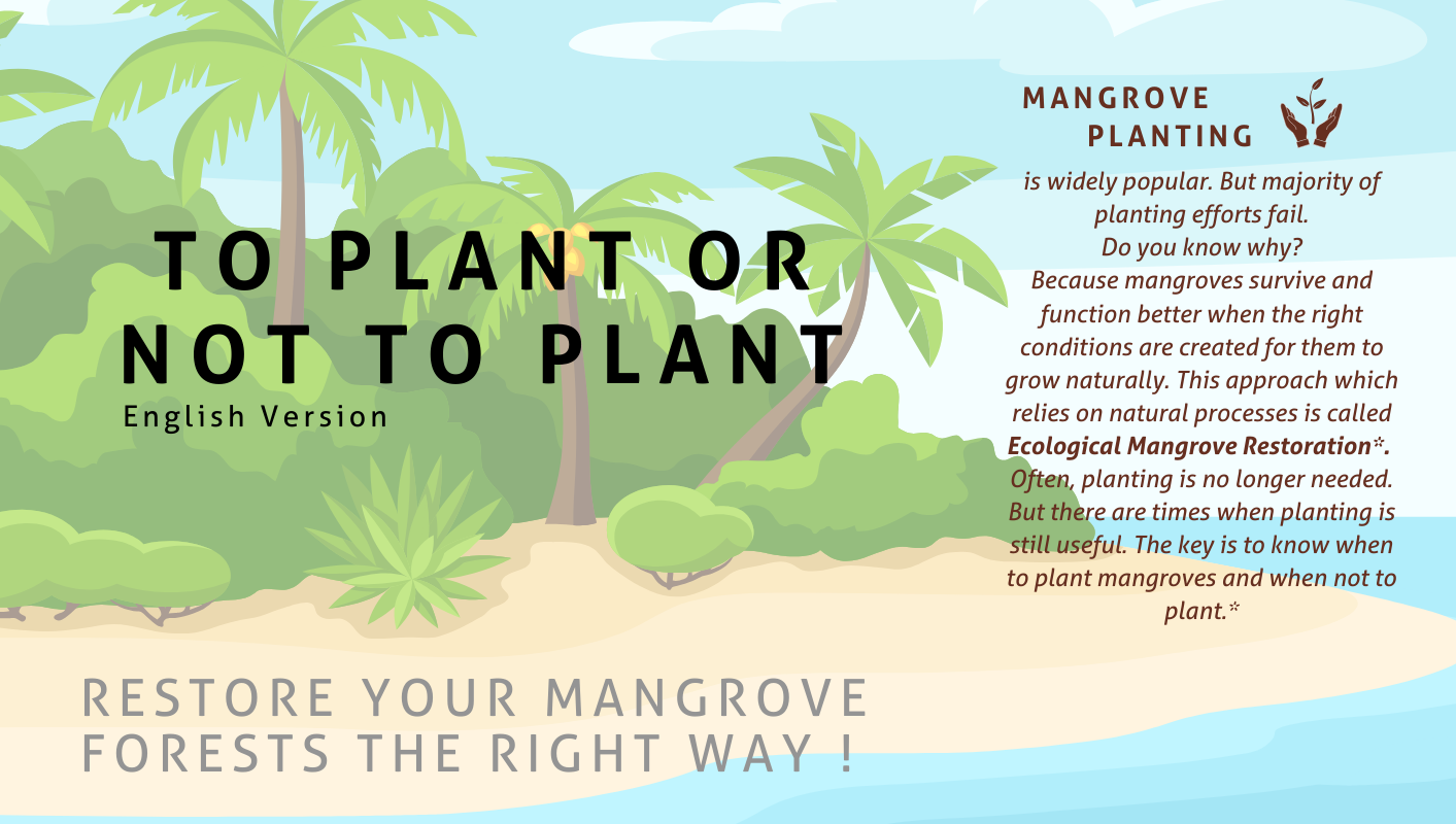 Flyer: To Plant or Not To Plant (2-Pager) - Wetlands International ...