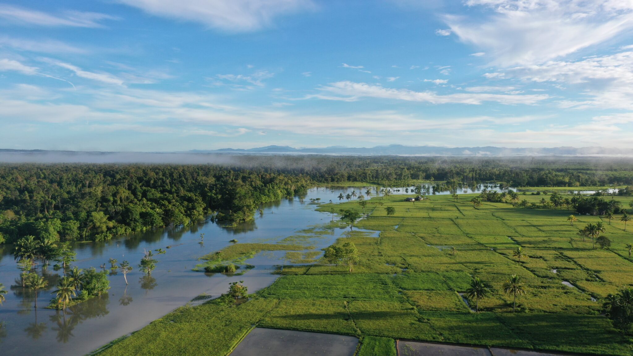 Our Projects - Wetlands International Philippines