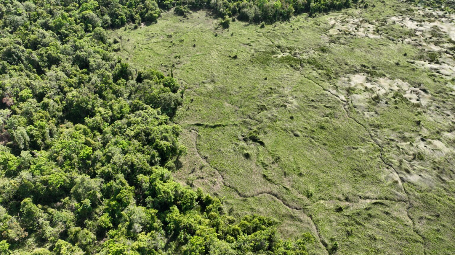 When the Land Dries Up, the Wetlands Weep - Wetlands International ...